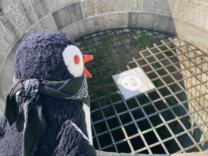 Visiting Devín Castle in Slovakia ⋆ Lifeguin