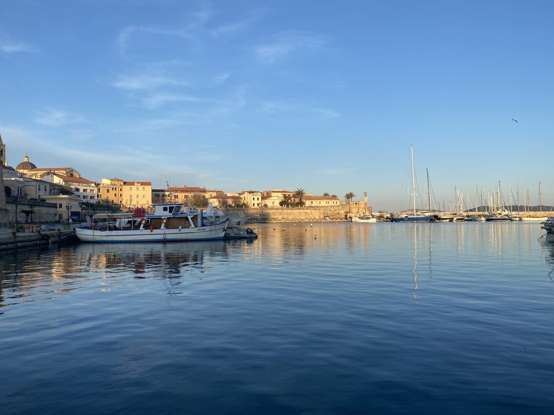 Things to See in Alghero ⋆ Lifeguin