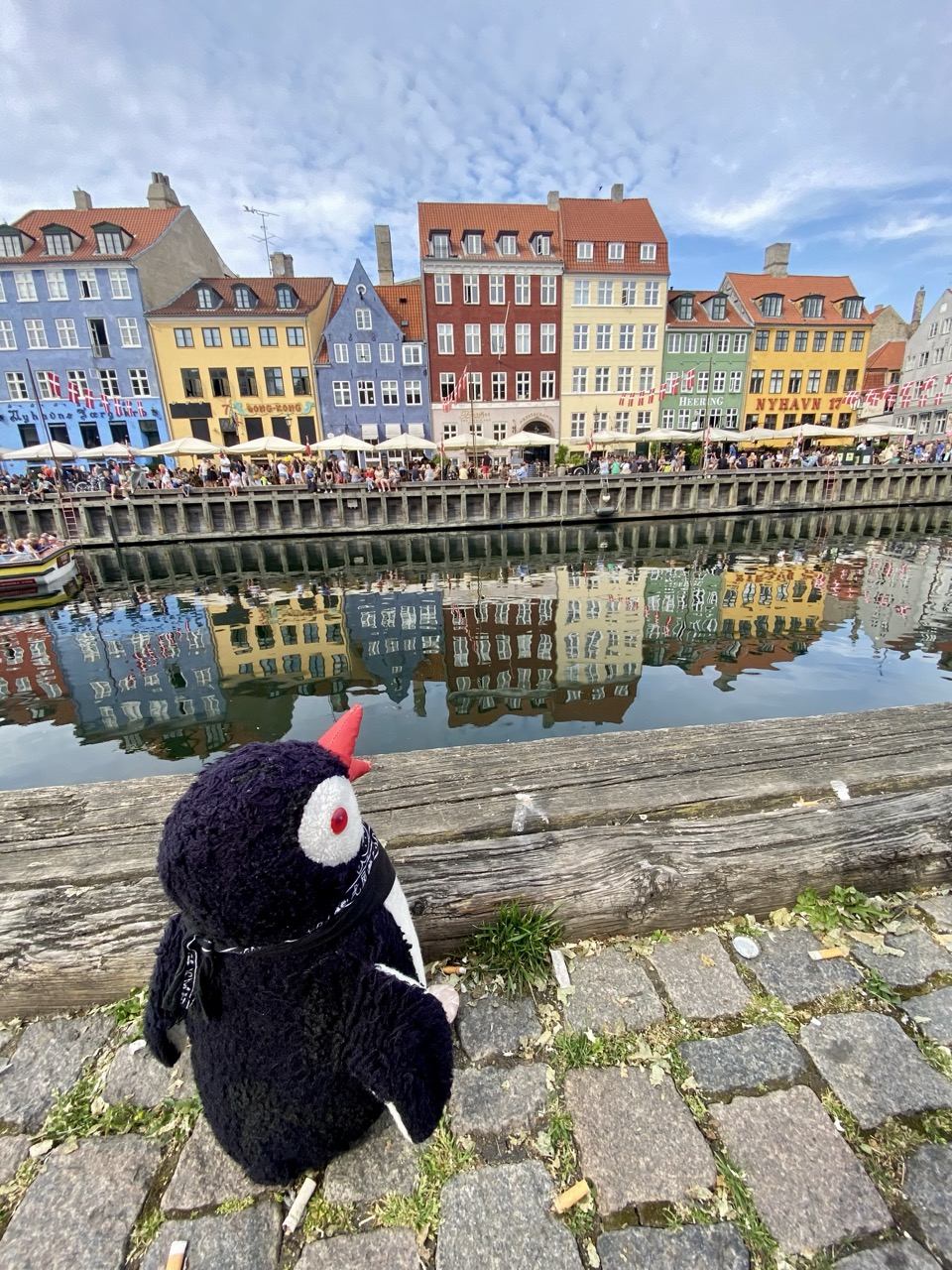 Copenhagen Card Review: Is It Really Worth the Money ⋆ Lifeguin