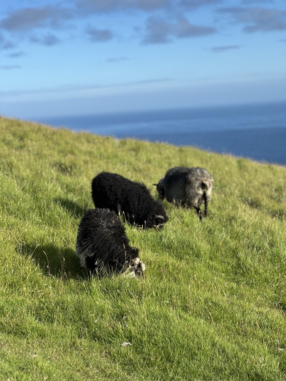 Hiking to Kallur Lighthouse on Kalsoy Island ⋆ Lifeguin