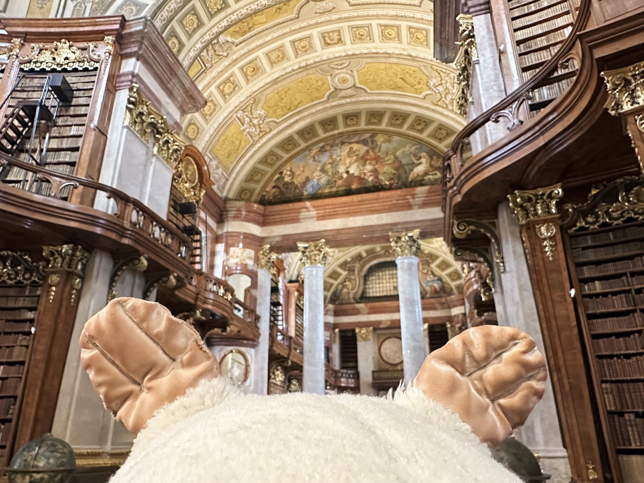 Inside the State Hall of the Austrian National Library ⋆ Lifeguin