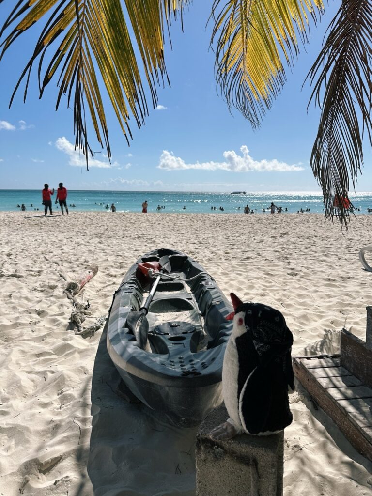 Discover the Magic of the Dominican Republic ⋆ Lifeguin