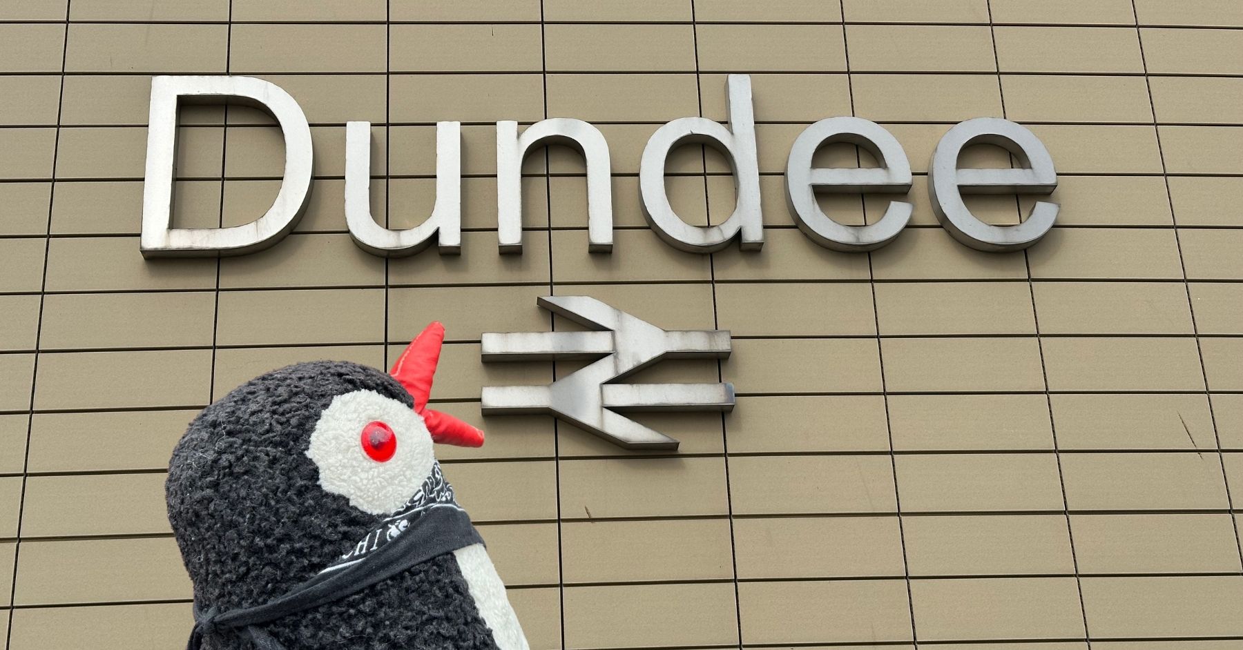 Discover Dundee: Scotland's Penguin City of Discovery ⋆ Lifeguin