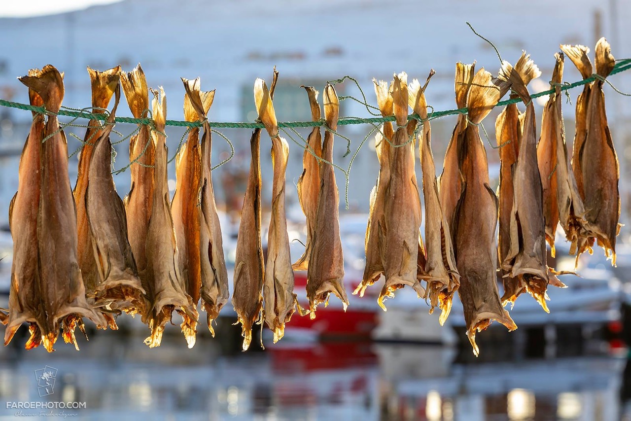 What and Where to Eat in the Faroe Islands ⋆ Lifeguin