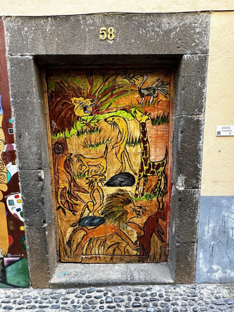 The Enchanting Doors of Funchal in Madeira ⋆ Lifeguin