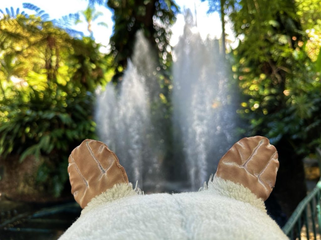 Top 18 Must-See Attractions in Funchal ~ Madeira ⋆ Lifeguin