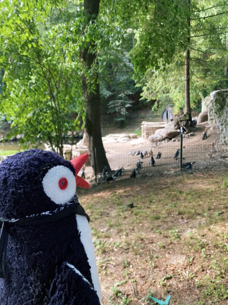Gdańsk Zoo: Poland's Largest Zoological Garden ⋆ Lifeguin