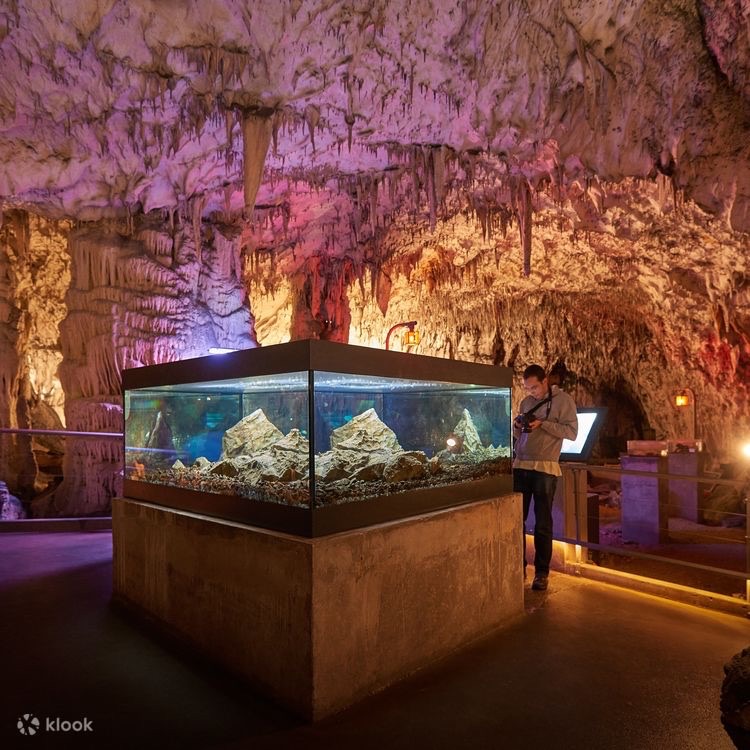 Postojna Cave ~ Slovenia's Underground Wonderland ⋆ Lifeguin