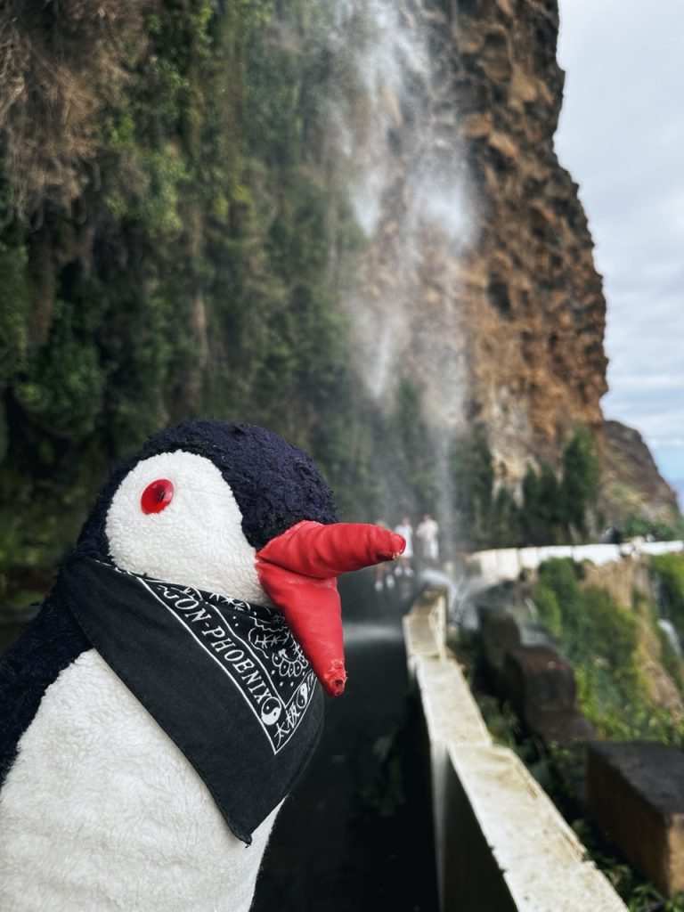 Top Waterfalls on Madeira Island ⋆ Lifeguin