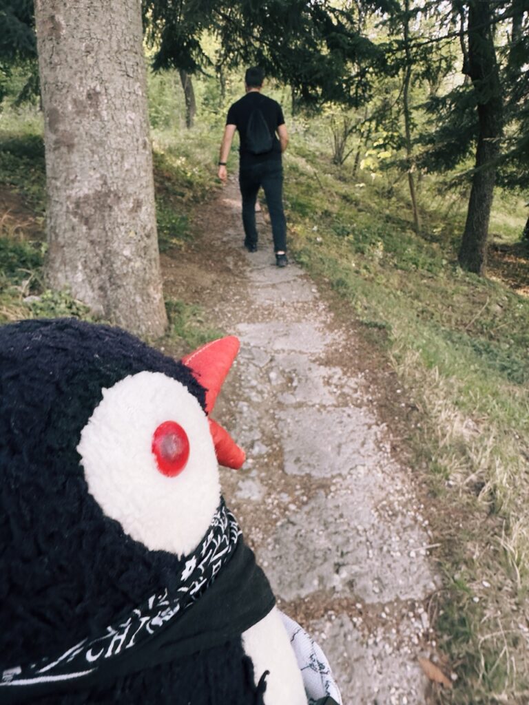 The Three Towers of San Marino and One Penguin ⋆ Lifeguin