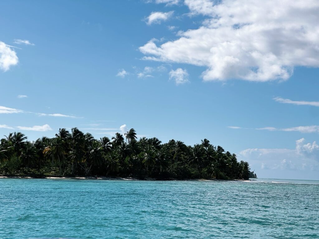 Saona Island, the Ultimate Caribbean Paradise ⋆ Lifeguin