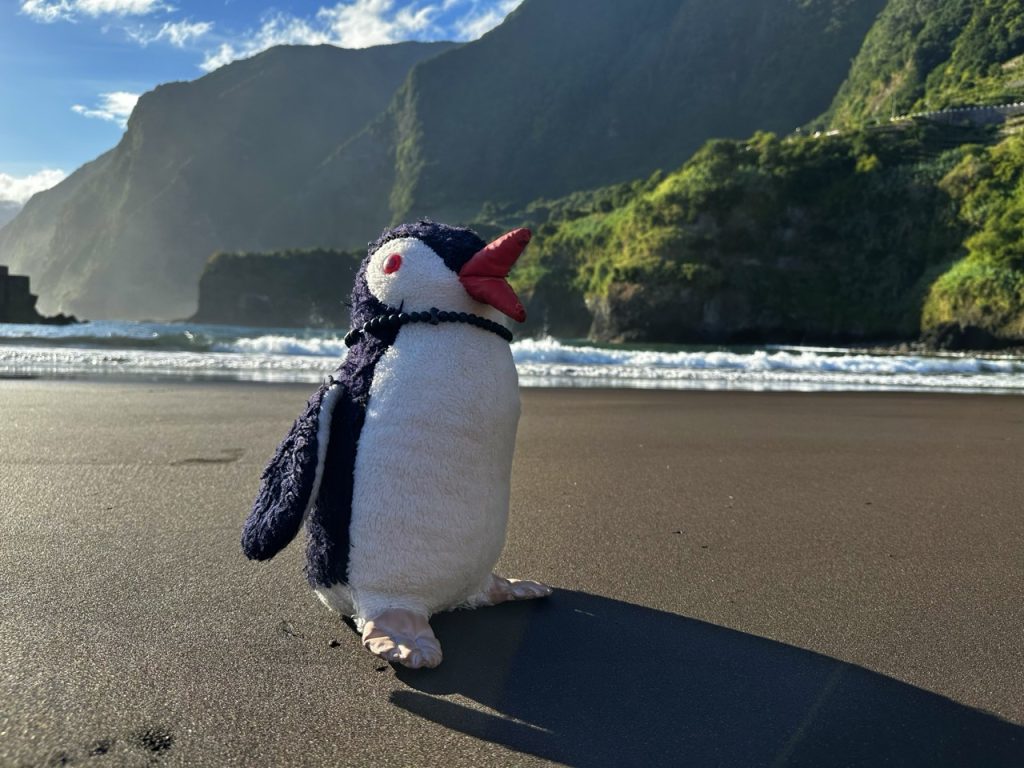 Beautiful Seixal Beach in Madeira ⋆ Lifeguin