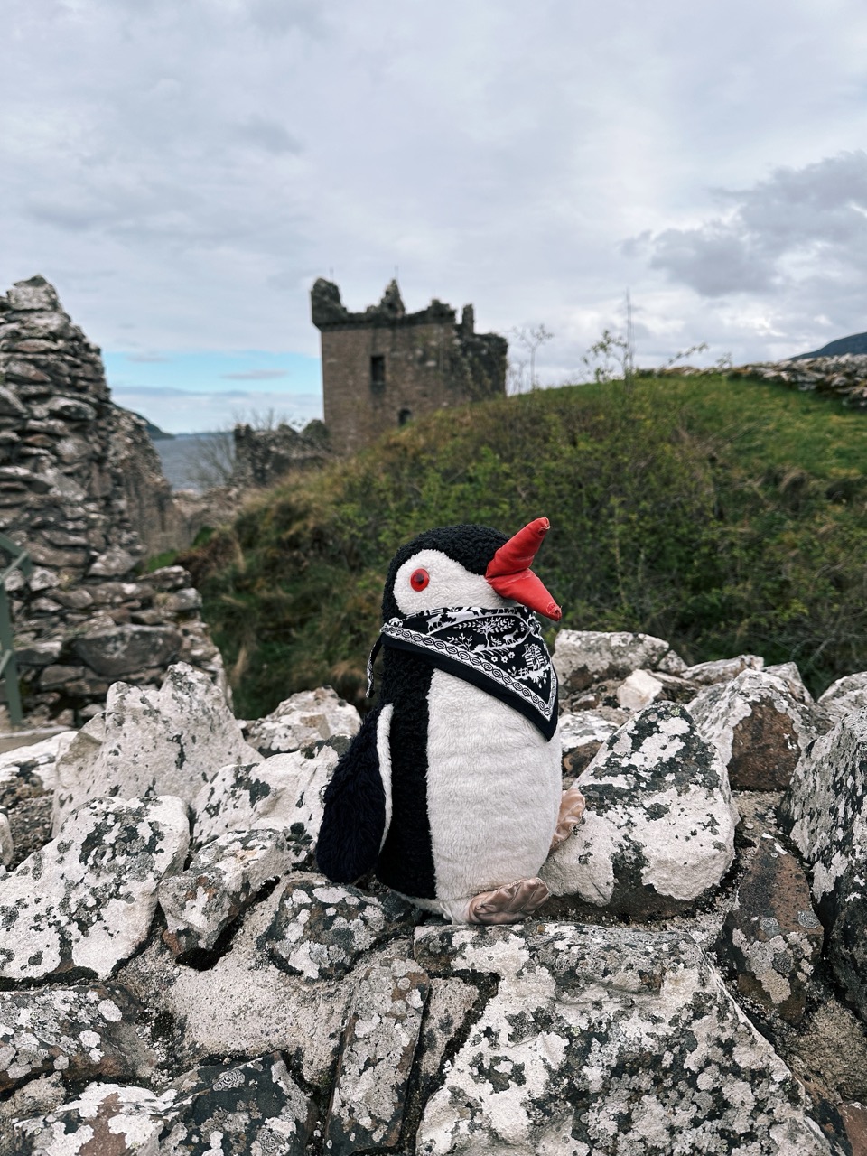Nessie, Castles, and a Curious Penguin: An Explorer's Journey to Loch ...