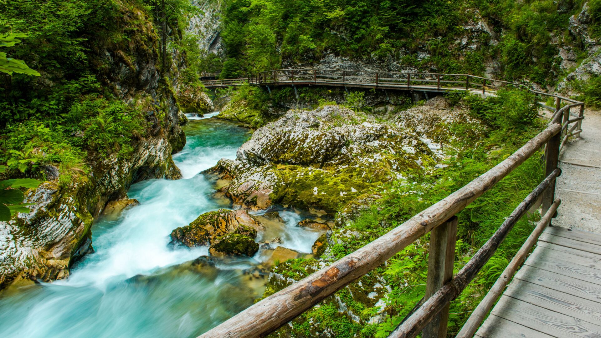 Vintgar Gorge ~ A Hike Through Slovenia's Enchanted Wilderness ⋆ Lifeguin